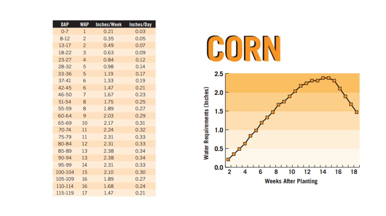 Current Considerations for Soil Moisture and Crop Water Use for Row ...
