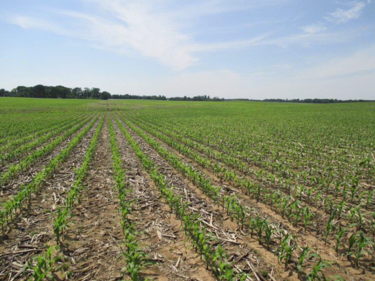 A Few Observations on Dryland Crops Equaling or Yielding Higher Than ...